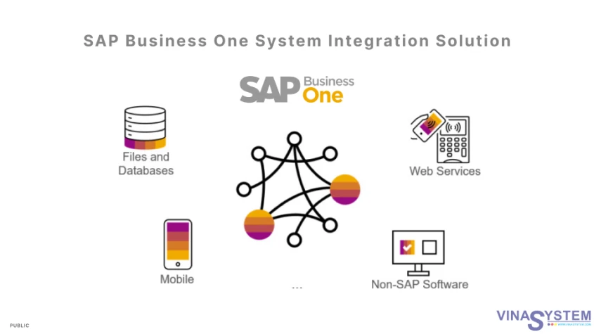 Solutions Vina System - SAP Business One on Premise or Cloud